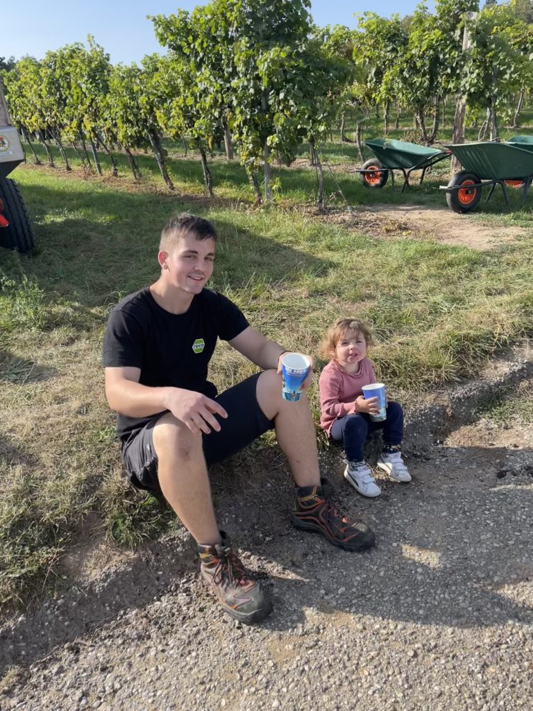 News – Weingut Kauderer